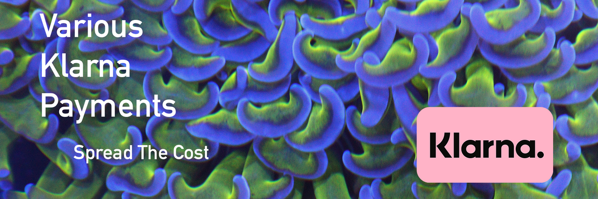Reef Exotics- Buy Now Pay Later