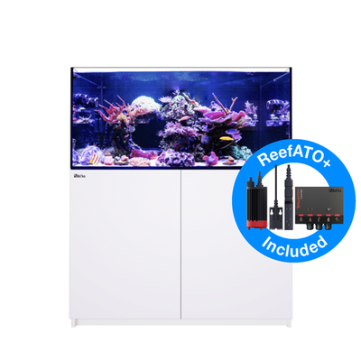 Reef Exotics- Buy Now Pay Later